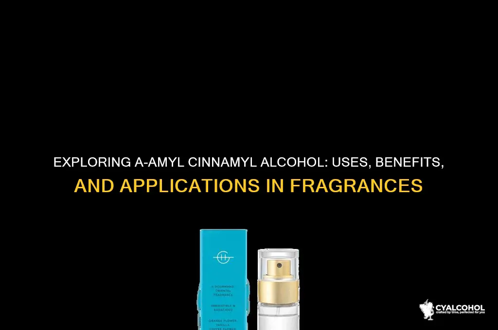 Exploring A-Amyl Cinnamyl Alcohol: Uses, Benefits, And Applications In ...