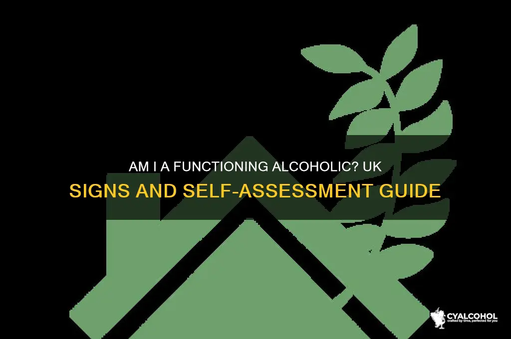 Am I A Functioning Alcoholic? Uk Signs And Self-Assessment Guide ...