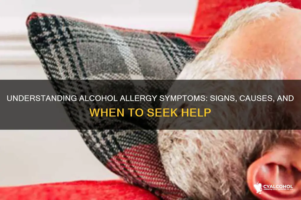 Understanding Alcohol Allergy Symptoms: Signs, Causes, And When To Seek ...