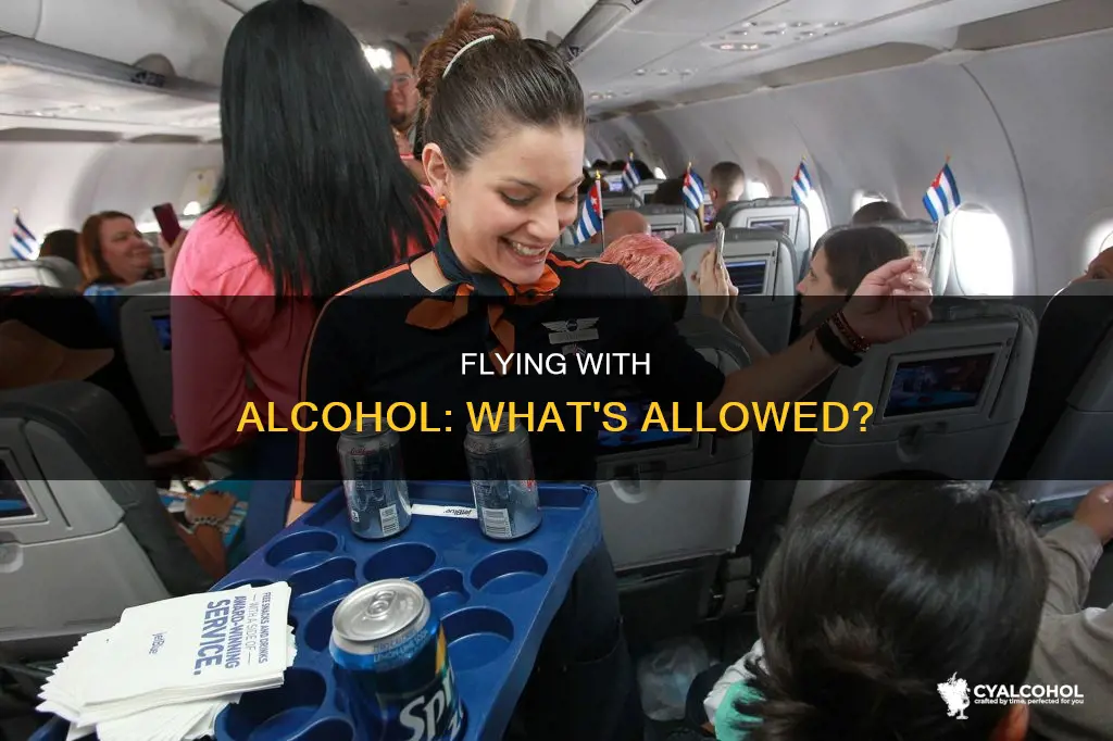 Flying With Alcohol: What's Allowed? | CyAlcohol
