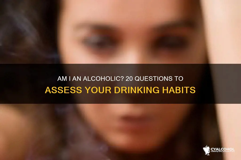 Am I An Alcoholic? 20 Questions To Assess Your Drinking Habits | CyAlcohol
