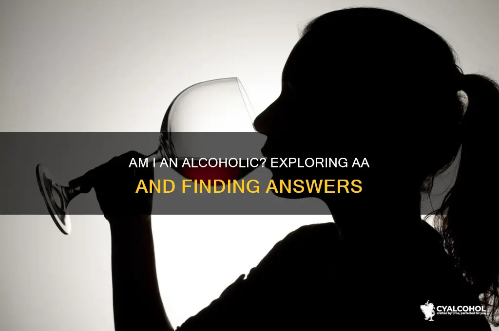 Am I An Alcoholic? Exploring Aa And Finding Answers | CyAlcohol