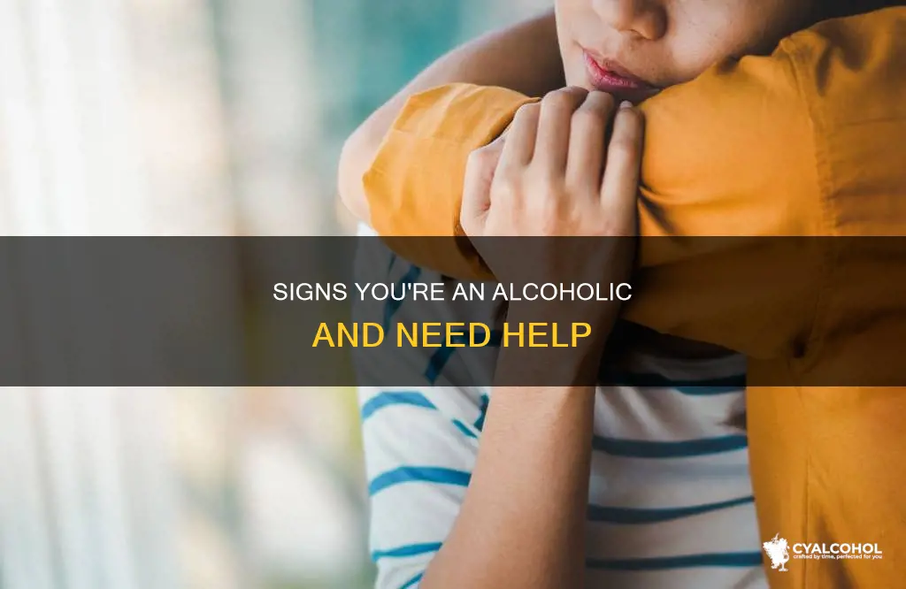 Signs You're An Alcoholic And Need Help | CyAlcohol