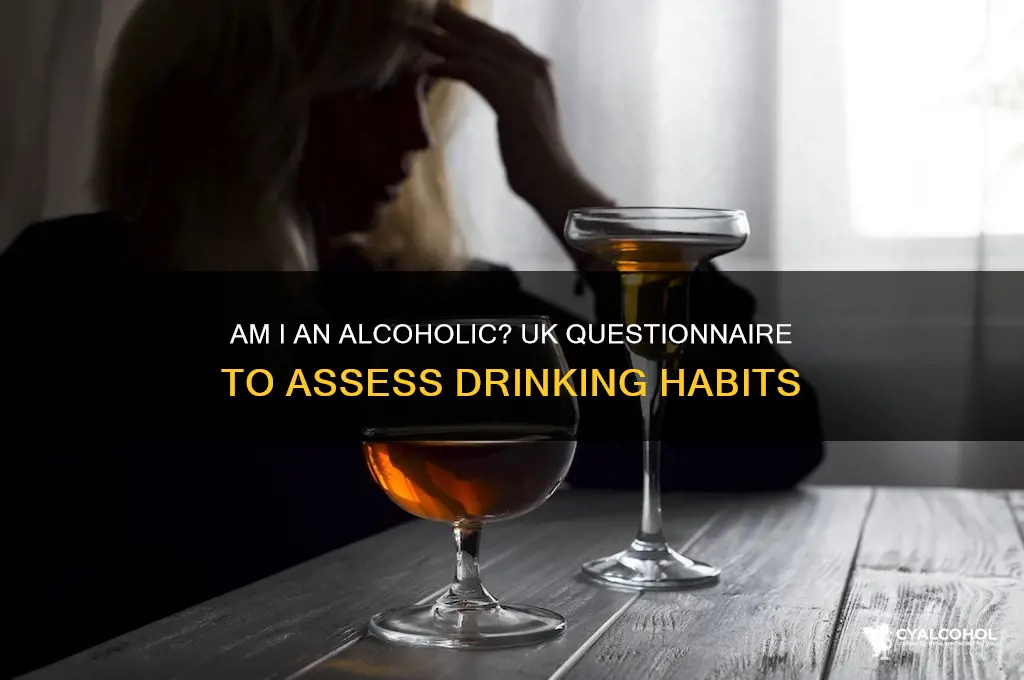 Am I An Alcoholic? Uk Questionnaire To Assess Drinking Habits | CyAlcohol