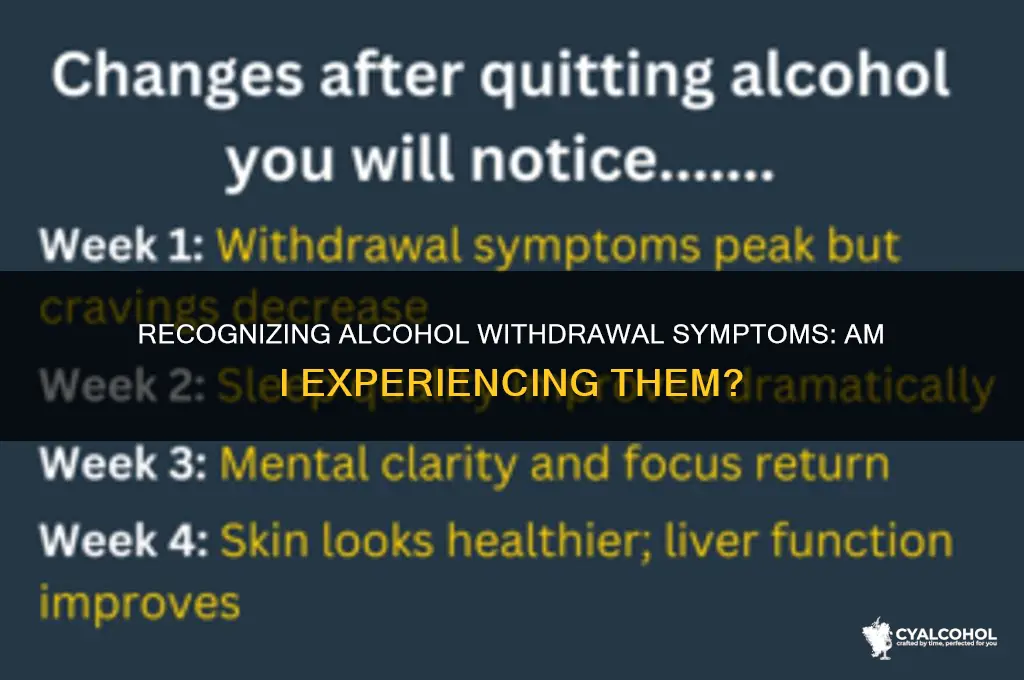 Recognizing Alcohol Withdrawal Symptoms: Am I Experiencing Them ...