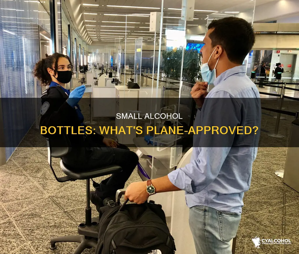 Small Alcohol Bottles: What's Plane-Approved? | CyAlcohol