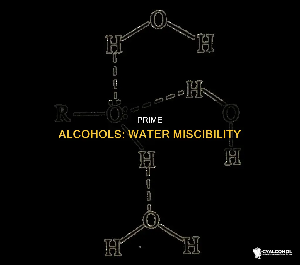 Prime Alcohols: Water Miscibility | CyAlcohol