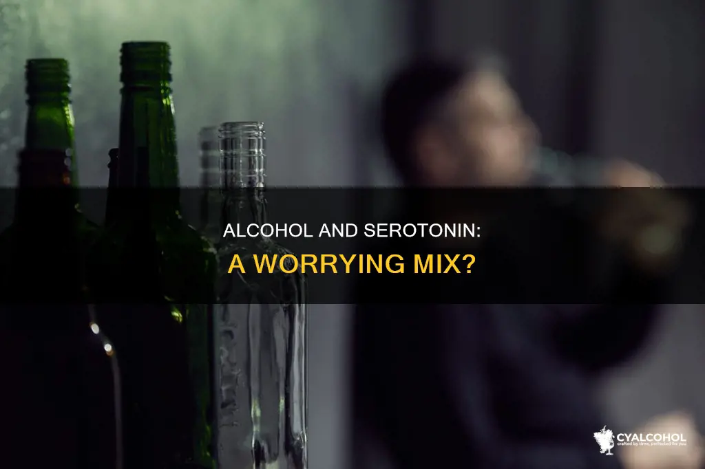 Alcohol And Serotonin: A Worrying Mix? | CyAlcohol