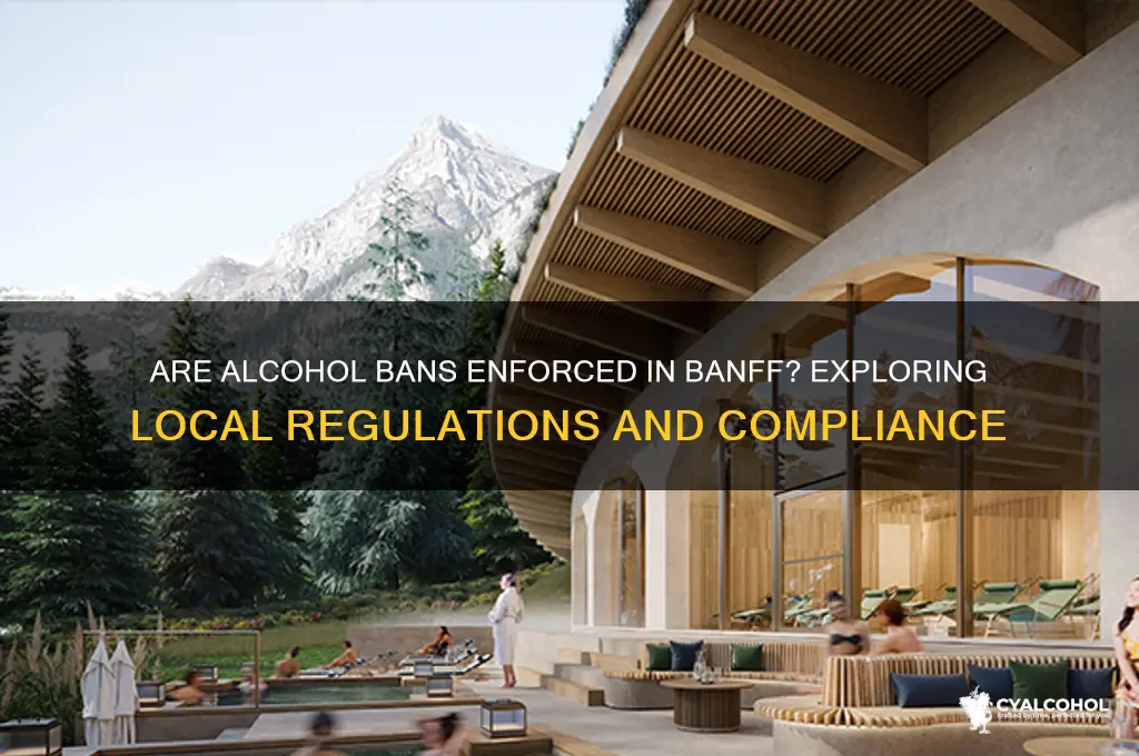 Are Alcohol Bans Enforced In Banff? Exploring Local Regulations And ...