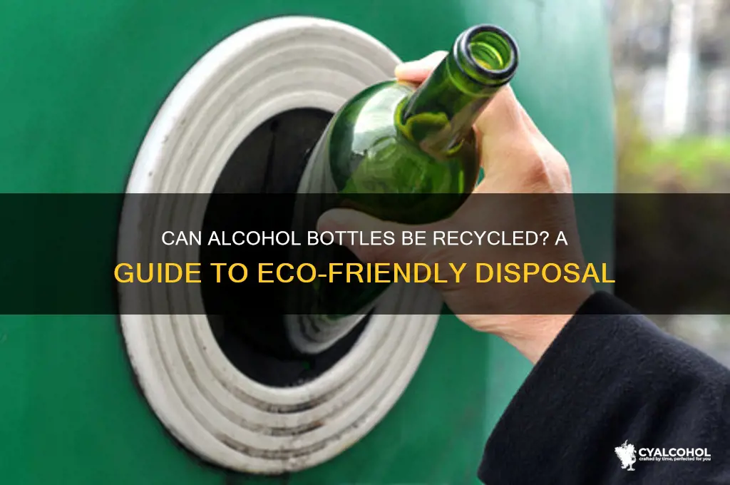 Can Alcohol Bottles Be Recycled? A Guide To Eco-Friendly Disposal ...