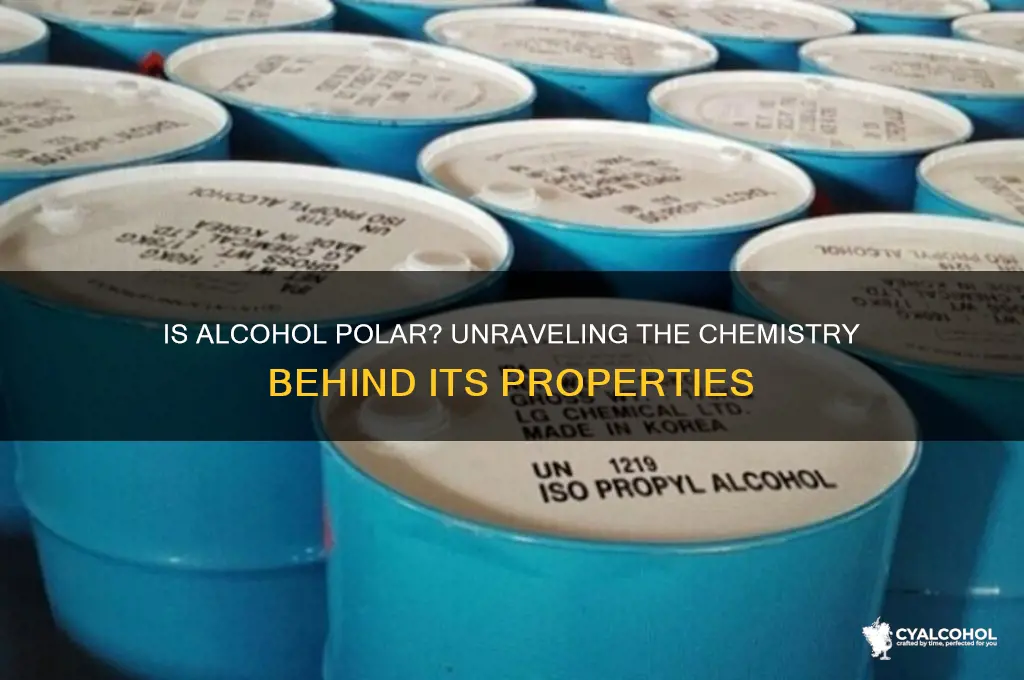 Is Alcohol Polar? Unraveling The Chemistry Behind Its Properties ...