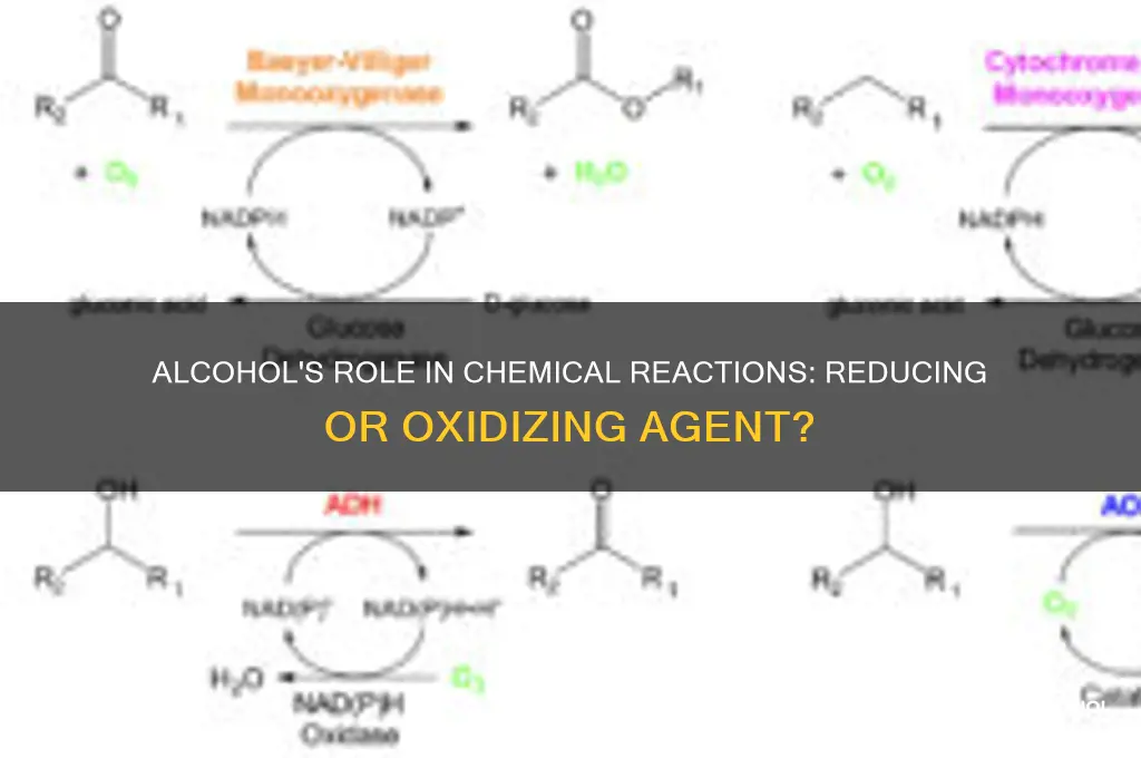 Alcohol's Role In Chemical Reactions: Reducing Or Oxidizing Agent ...