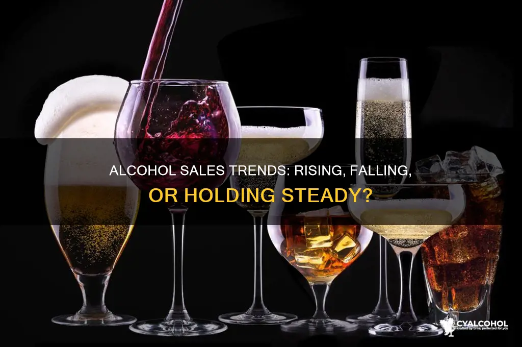 Alcohol Sales Trends: Rising, Falling, Or Holding Steady? | CyAlcohol