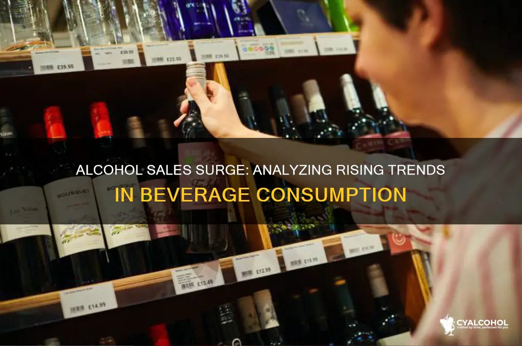 Alcohol Sales Surge: Analyzing Rising Trends In Beverage Consumption ...