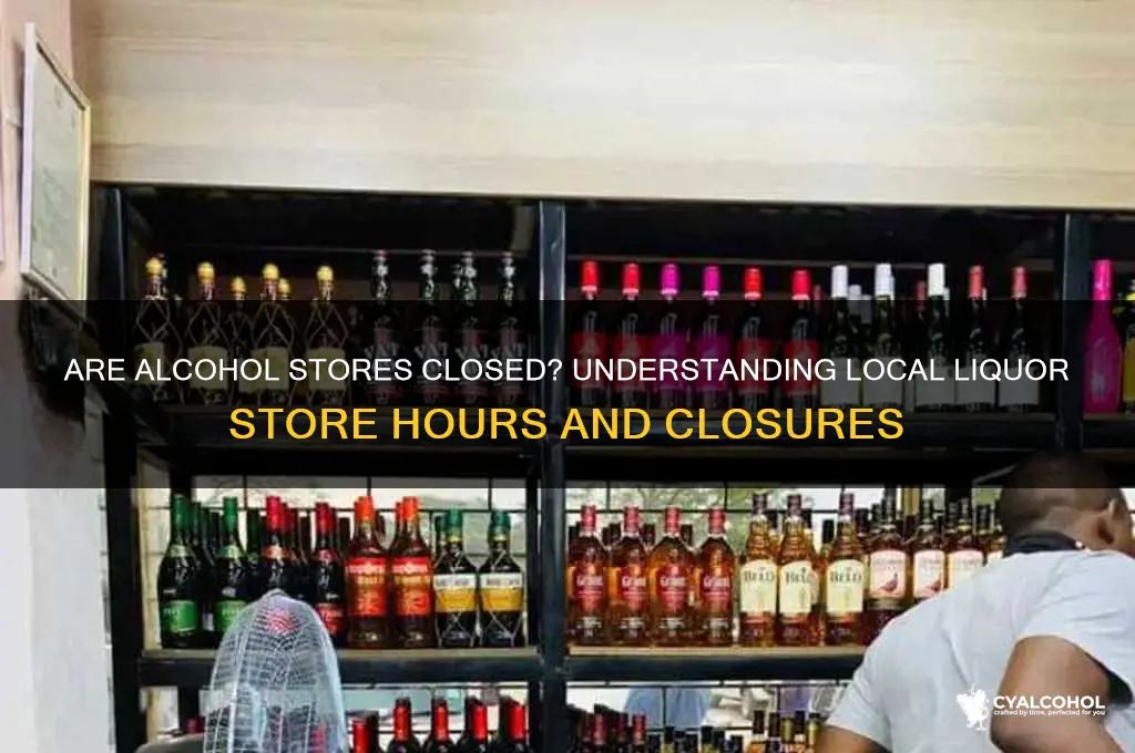 Are Alcohol Stores Closed? Understanding Local Liquor Store Hours And ...