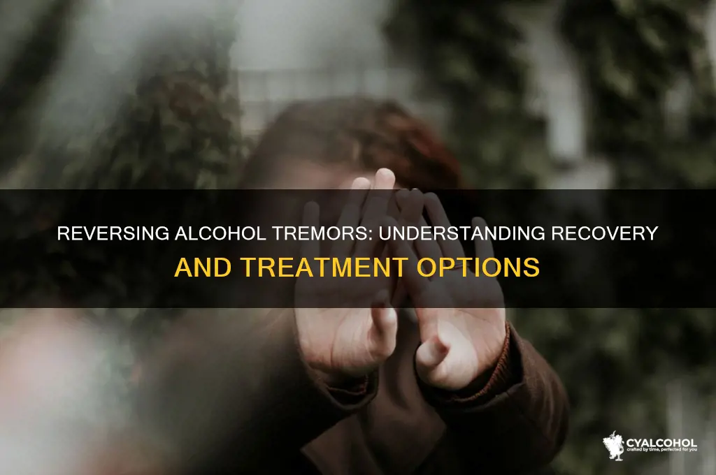 Reversing Alcohol Tremors: Understanding Recovery And Treatment Options ...