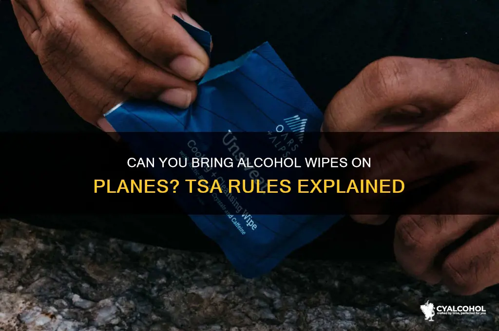 Can You Bring Alcohol Wipes On Planes? Tsa Rules Explained | CyAlcohol