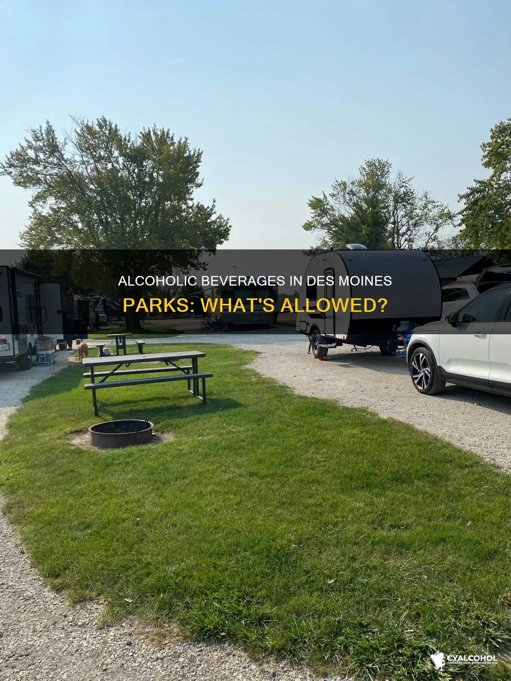Alcoholic Beverages In Des Moines Parks: What's Allowed? | CyAlcohol