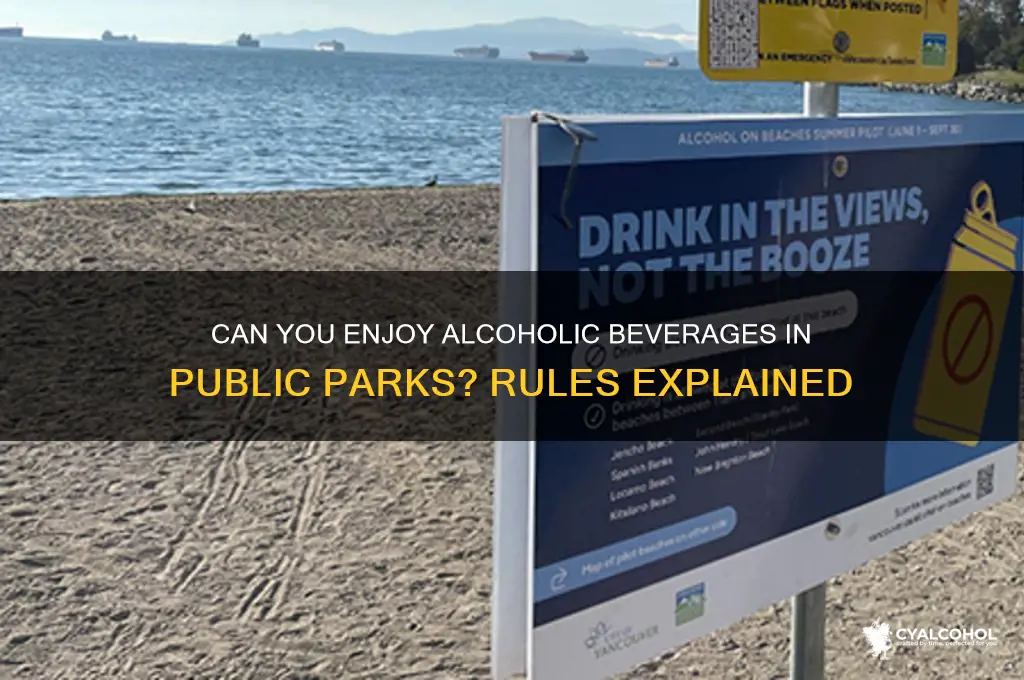Can You Enjoy Alcoholic Beverages In Public Parks? Rules Explained ...