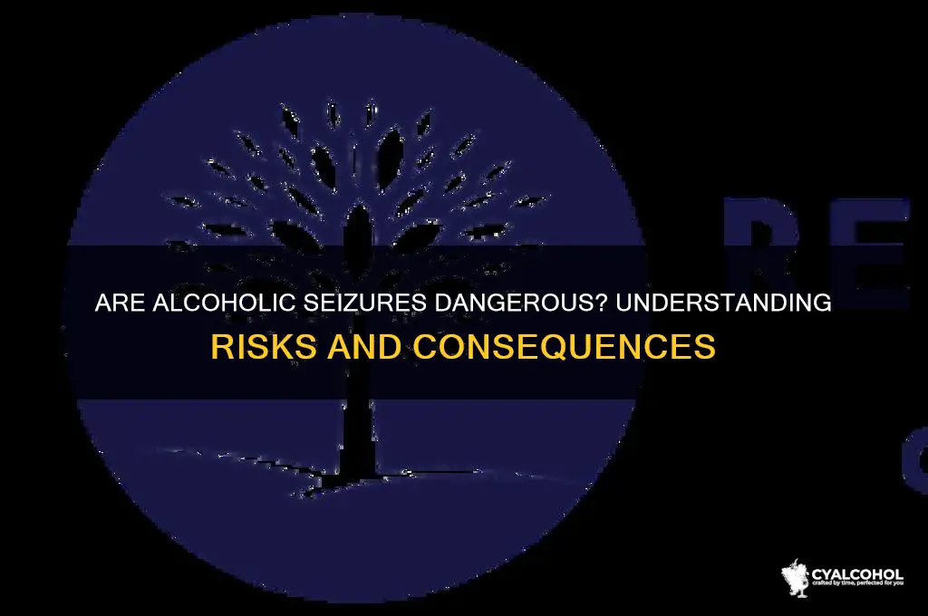 Are Alcoholic Seizures Dangerous? Understanding Risks And Consequences ...