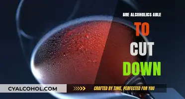 Alcoholism And Anemia: Uncovering The Hidden Health Risks | CyAlcohol