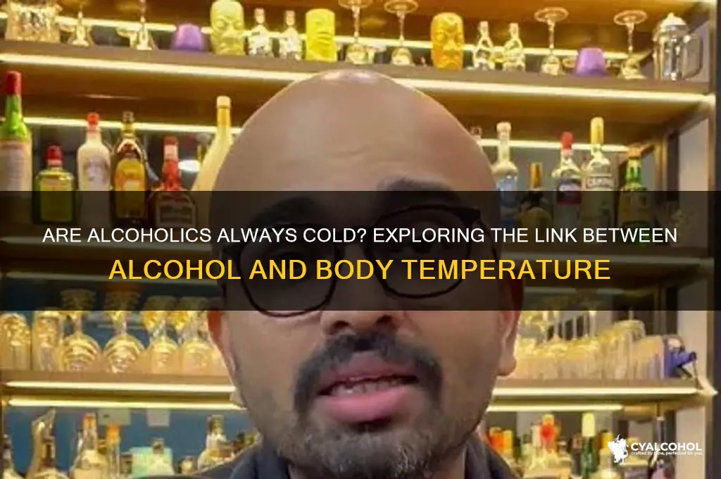 Are Alcoholics Always Cold? Exploring The Link Between Alcohol And Body ...