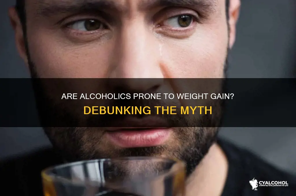 Are Alcoholics Prone To Weight Gain? Debunking The Myth | CyAlcohol