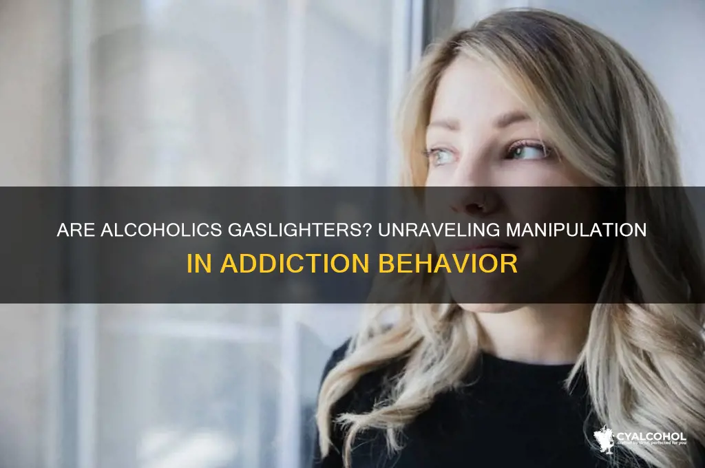 Are Alcoholics Gaslighters? Unraveling Manipulation In Addiction ...