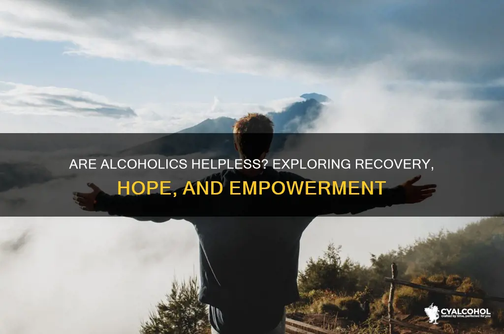 Are Alcoholics Helpless? Exploring Recovery, Hope, And Empowerment ...