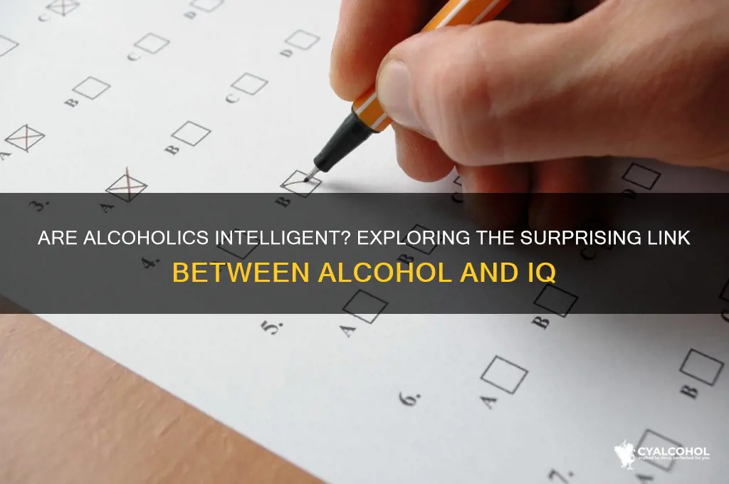 Are Alcoholics Intelligent? Exploring The Surprising Link Between ...