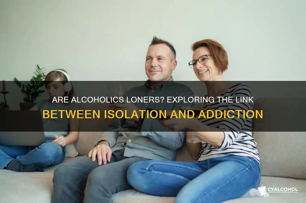 Are Alcoholics Loners? Exploring The Link Between Isolation And ...