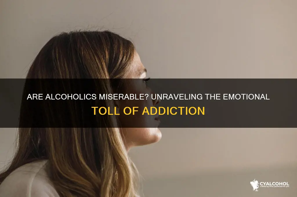 Are Alcoholics Miserable? Unraveling The Emotional Toll Of Addiction ...