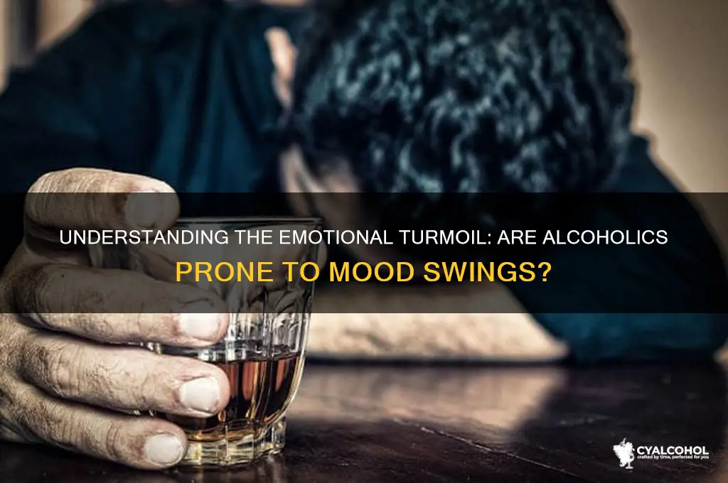 Understanding The Emotional Turmoil: Are Alcoholics Prone To Mood ...
