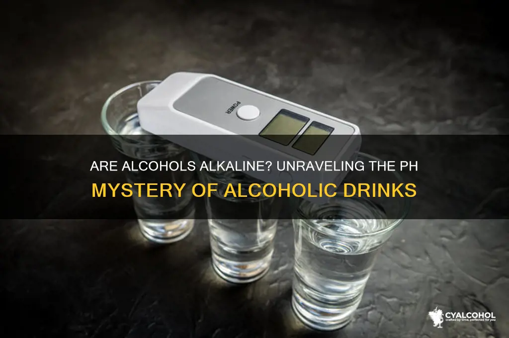 Are Alcohols Alkaline? Unraveling The Ph Mystery Of Alcoholic Drinks ...