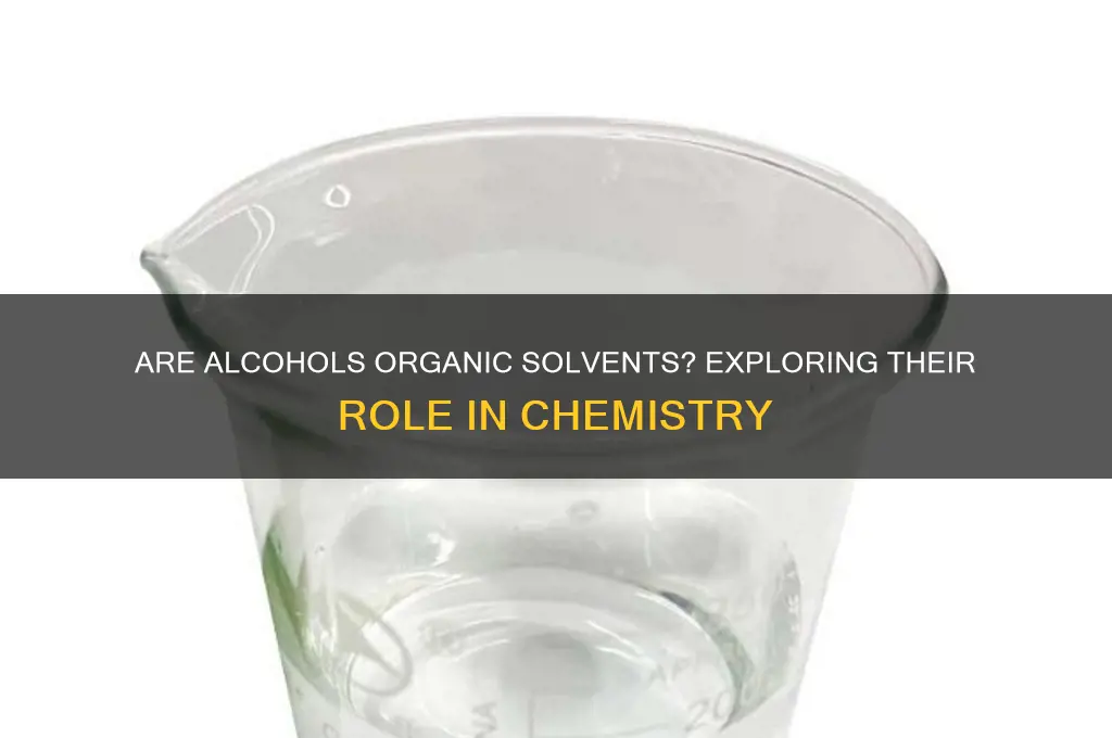 Are Alcohols Organic Solvents? Exploring Their Role In Chemistry ...