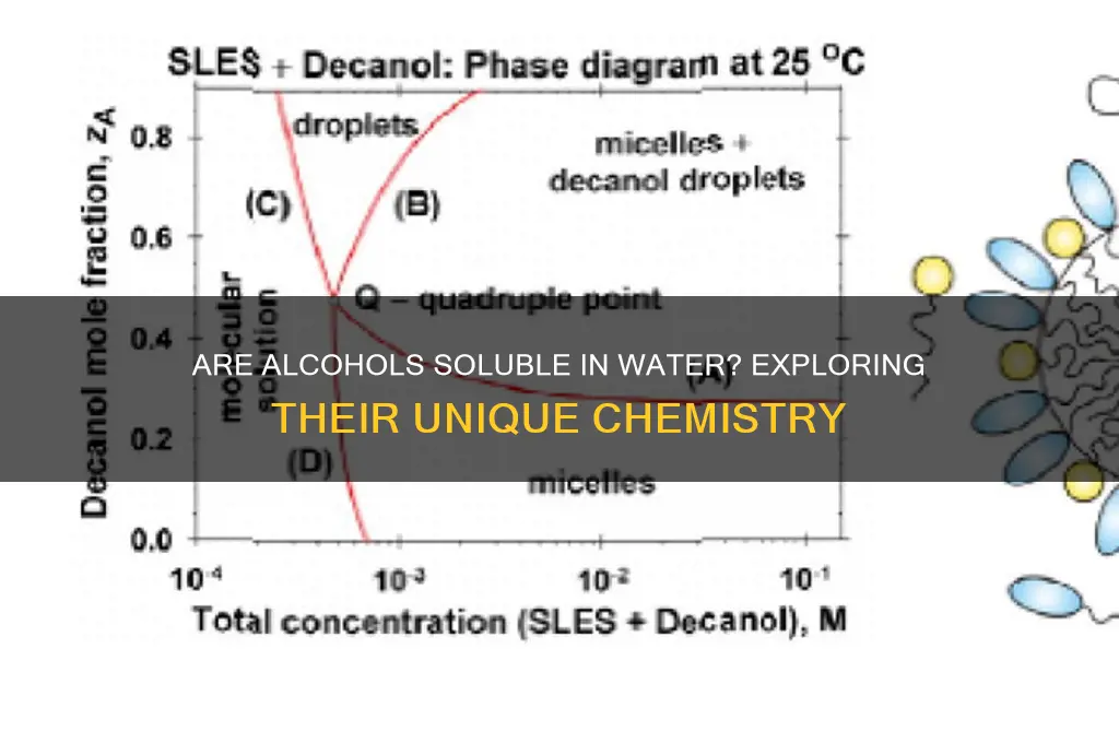 Are Alcohols Soluble In Water? Exploring Their Unique Chemistry | CyAlcohol