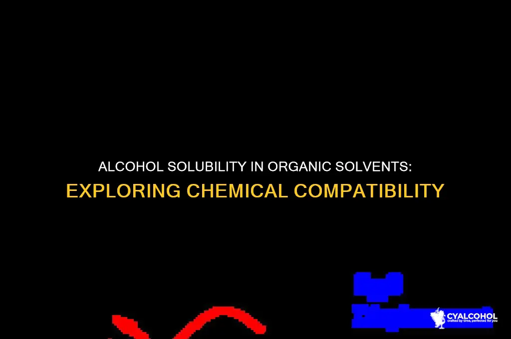 Alcohol Solubility In Organic Solvents: Exploring Chemical ...