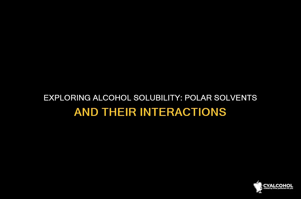 Exploring Alcohol Solubility: Polar Solvents And Their Interactions ...
