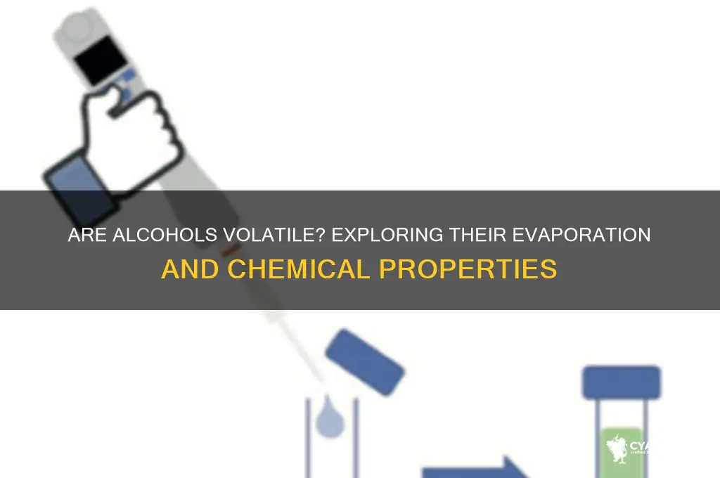 Are Alcohols Volatile? Exploring Their Evaporation And Chemical ...