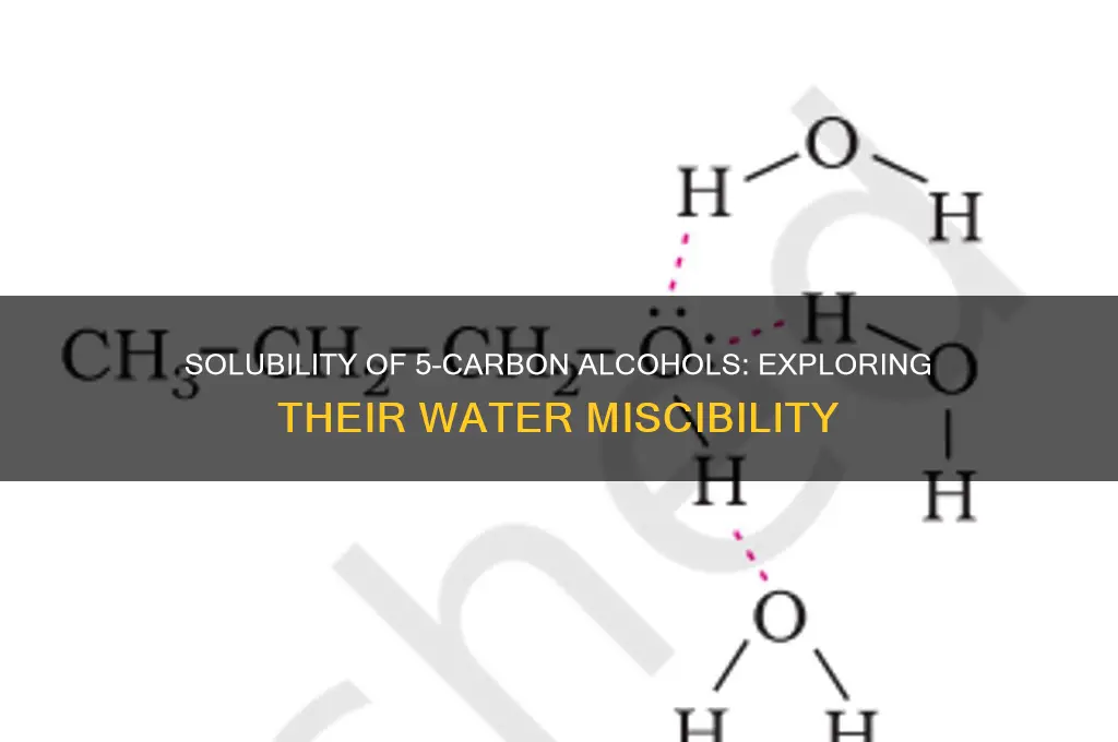 Solubility Of 5-Carbon Alcohols: Exploring Their Water Miscibility ...