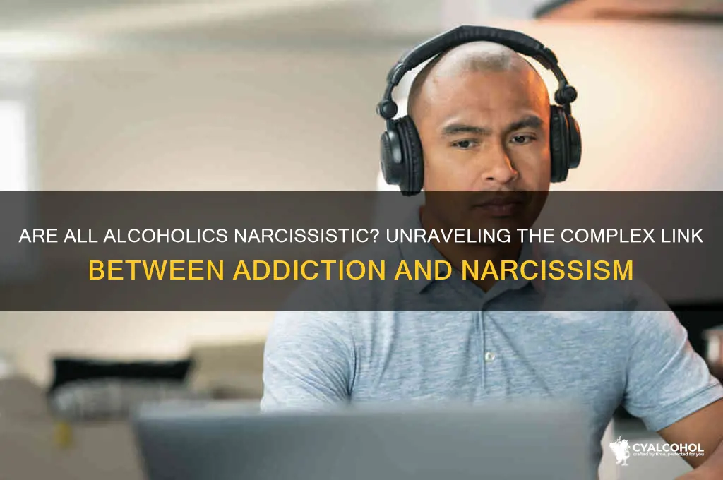 Are All Alcoholics Narcissistic? Unraveling The Complex Link Between ...
