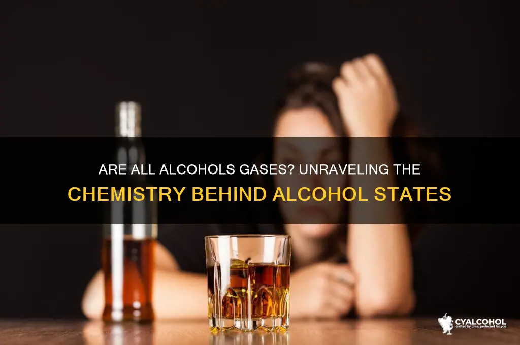 Are All Alcohols Gases? Unraveling The Chemistry Behind Alcohol States ...