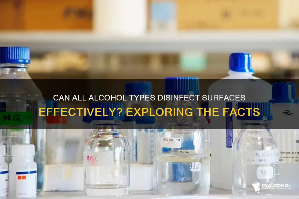 Can All Alcohol Types Disinfect Surfaces Effectively? Exploring The ...