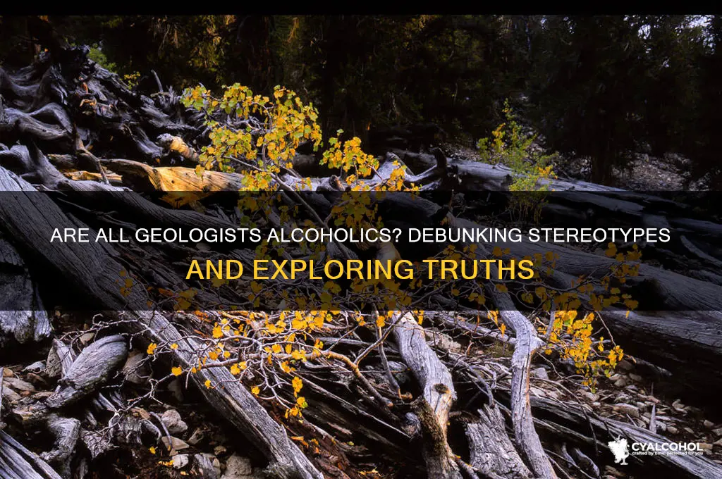 Are All Geologists Alcoholics? Debunking Stereotypes And Exploring ...