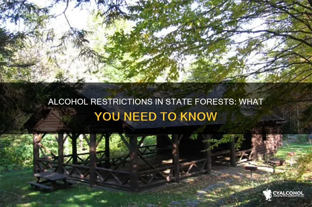 Alcohol Restrictions In State Forests: What You Need To Know | CyAlcohol