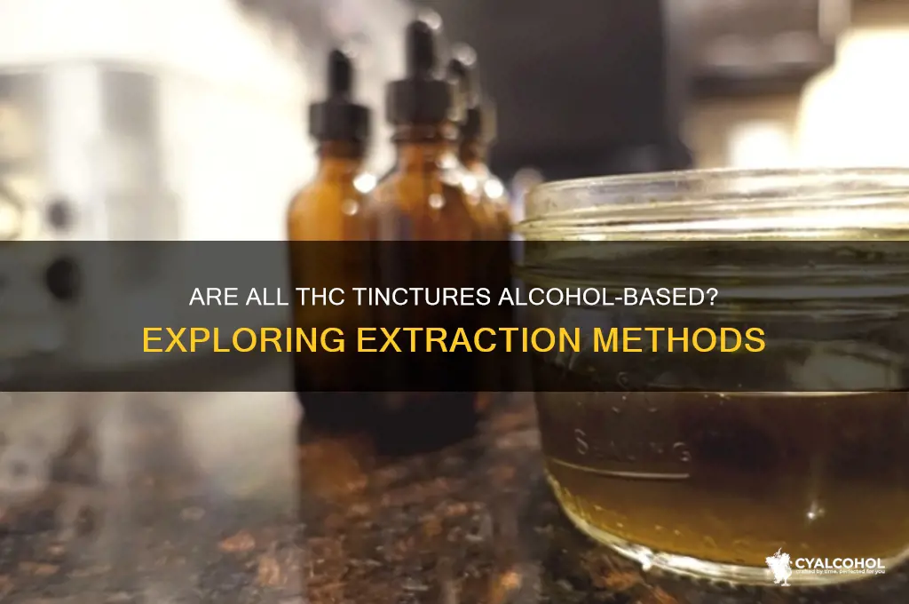 Are All Thc Tinctures Alcohol-Based? Exploring Extraction Methods ...