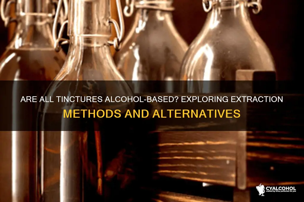 Are All Tinctures Alcohol-Based? Exploring Extraction Methods And ...