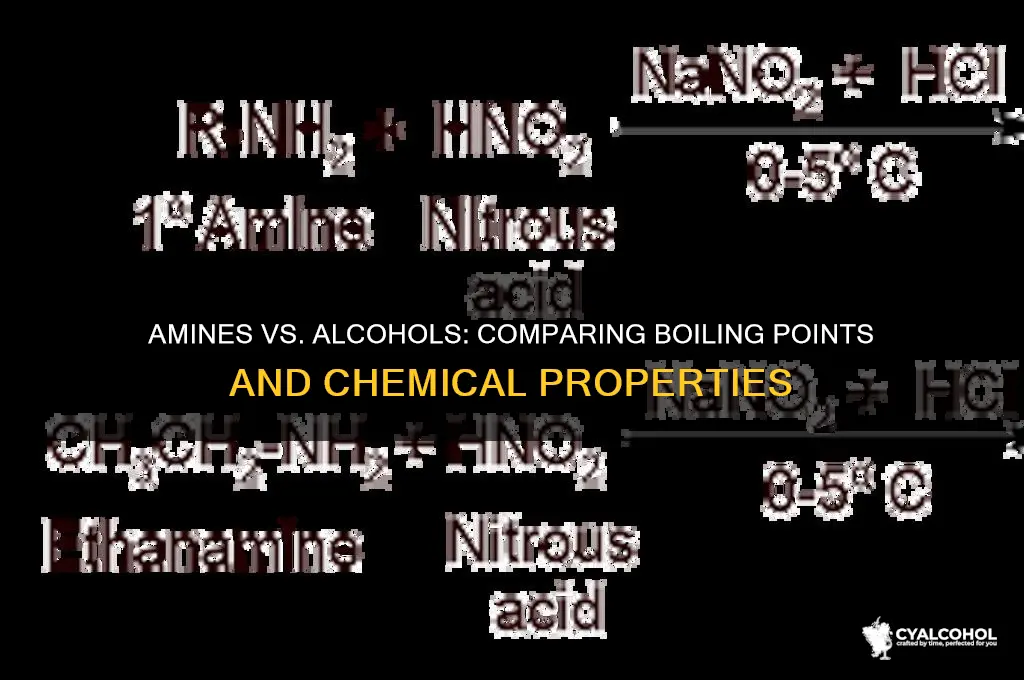 Amines Vs. Alcohols: Comparing Boiling Points And Chemical Properties ...