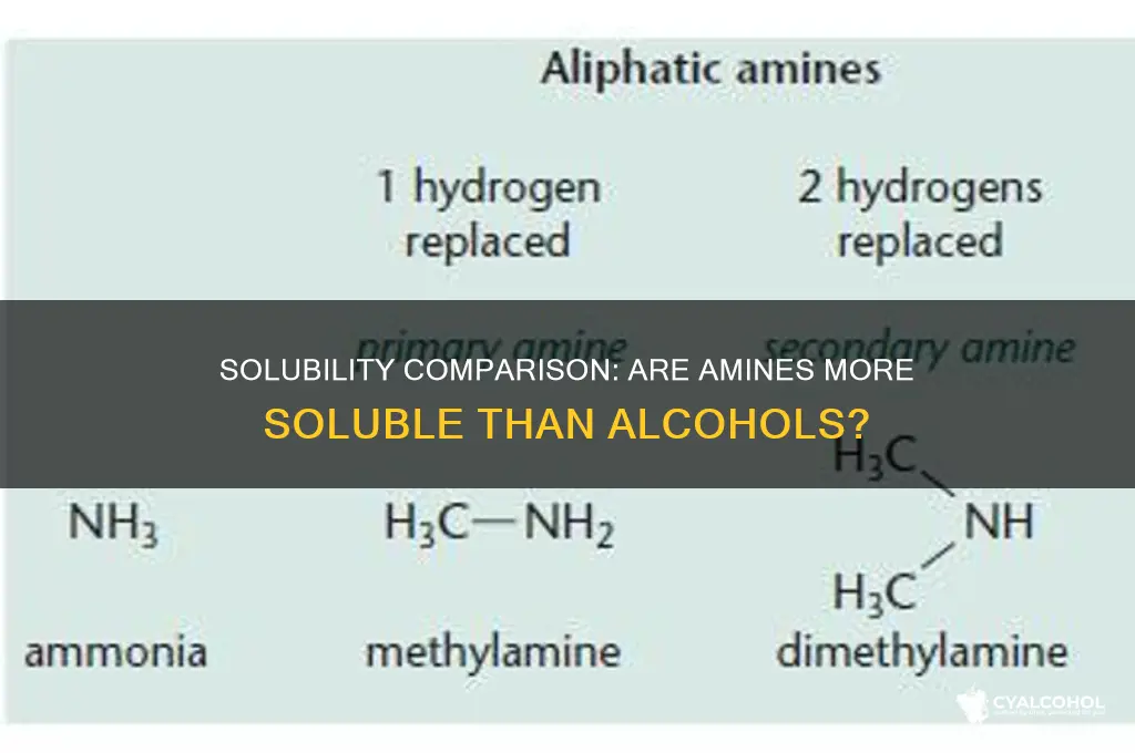 Solubility Comparison: Are Amines More Soluble Than Alcohols? | CyAlcohol