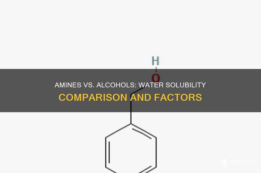 Amines Vs. Alcohols: Water Solubility Comparison And Factors | CyAlcohol